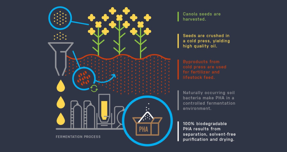 Sustainable Packaging Solutions - Kaleidoscope